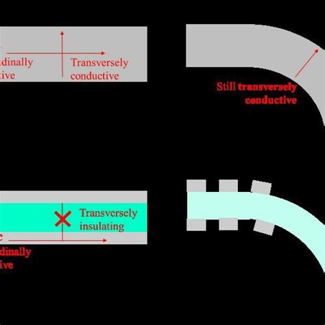 Illustration Of The Working Principle Of Highly Stretchable Scc