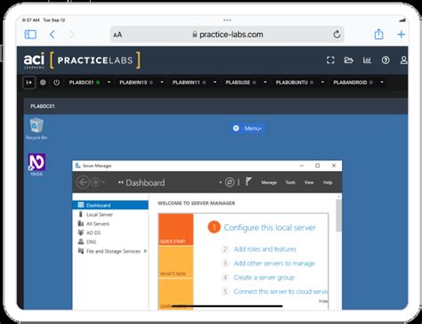 Online Practice Labs