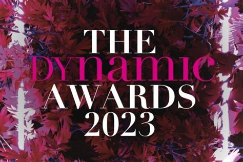 Dr Sophie Carr And Bays Team Honoured At The Dynamic Awards 2023