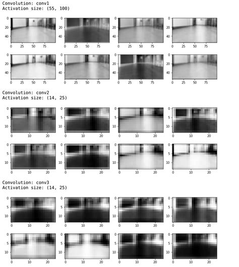 cnn layer activations download scientific diagram
