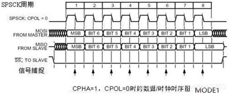 Stm32g0学习手册——spi总线使用stm32g030 Spi Csdn博客