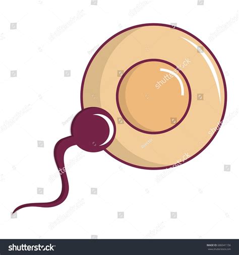 Human Fertilization Icon Cartoon Illustration Human Stock Vector