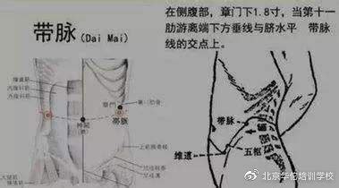 冲任二脉 冲任二脉络图 冲任二脉是什么位置图 大山谷图库