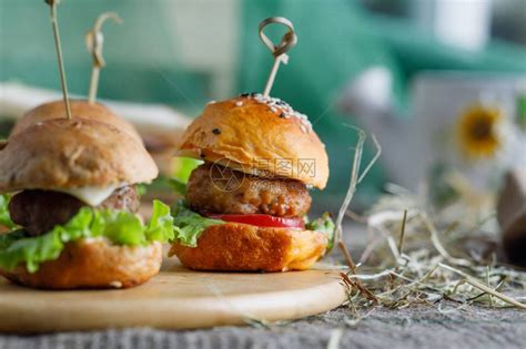 新鲜美味的自制汉堡高清图片下载 正版图片502921460 摄图网