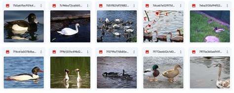Fine Tuning Yolov8 For Image Segmentation With Comet Comet