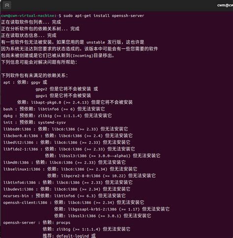 Sudo Apt Get Install Openssh Serve安装失败解决 Csdn博客