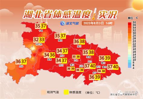 仙桃发布橙色预警！襄河茶馆江汉热线