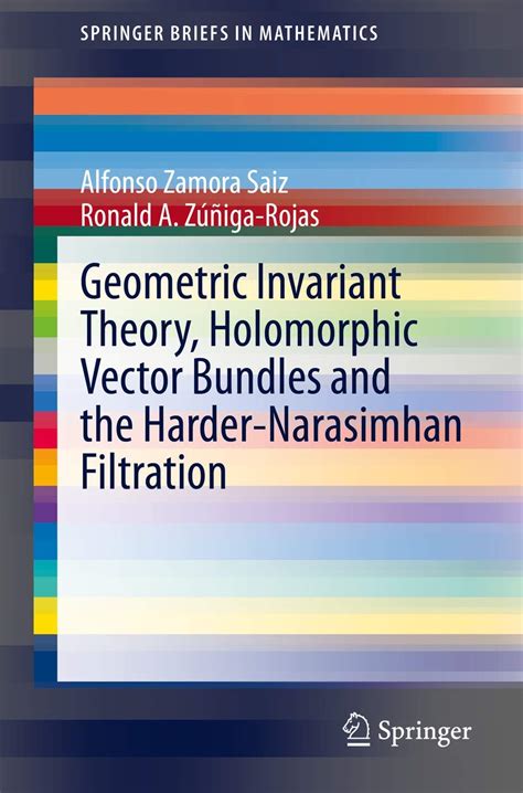Geometric Invariant Theory Holomorphic Vector Bundles And