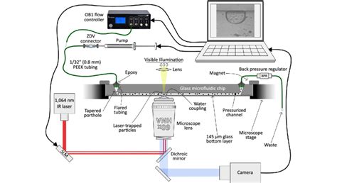 Schematic Representation Of Our High Pressure Microfluidic And Optical Download Scientific