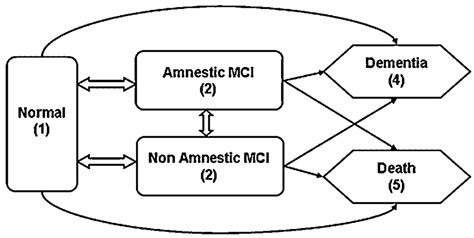 Multi State Model With Three Transient 1 2 3 And Two Absorbing Download Scientific Diagram
