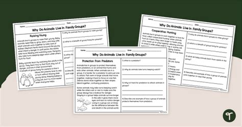 Noun Groups Teach Starter