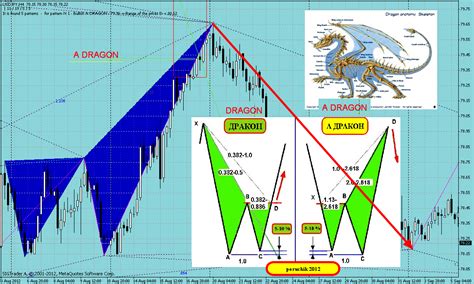 Metatrader 5 Does Not Have A Files Folder On Windows 7 General Mql5