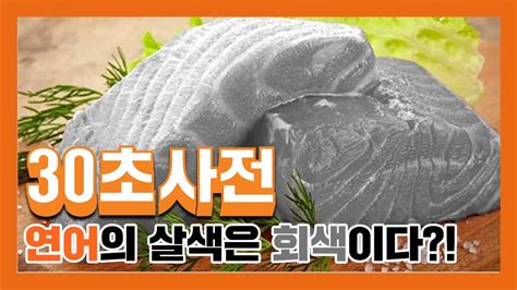 연어의 살색은 원래 회색이다 30초 사전 I 시선끌기 Youtube