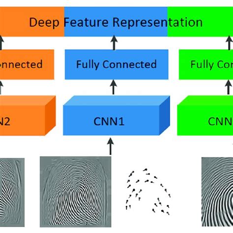 Deep Feature Representation Generation Process Using Three Download Scientific Diagram