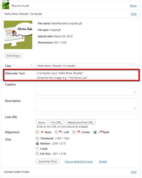 It S Alt Good Alternative Text And Accessibility Blog Mrw Web Design