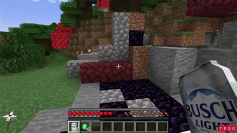 Can You Beat Minecraft As A Drunk