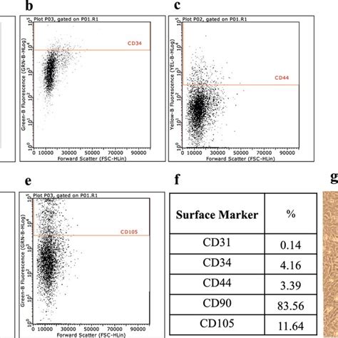 Flow Cytometric Analysis A‒e Flow Cytometric Analysis After Cell Download Scientific Diagram