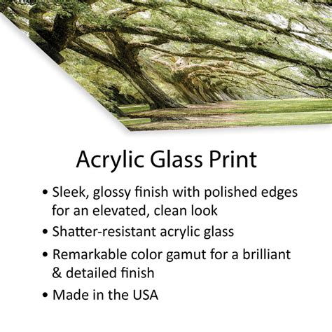 Ebern Designs Southern Grace On Plastic Acrylic By Apryl Roland