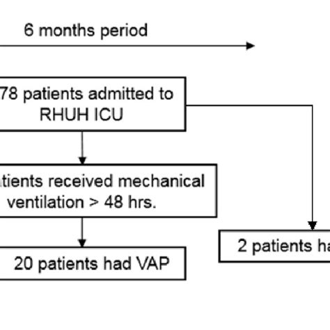 Diagnostic Algorithm For Hospital Acquired Pneumonia And Download