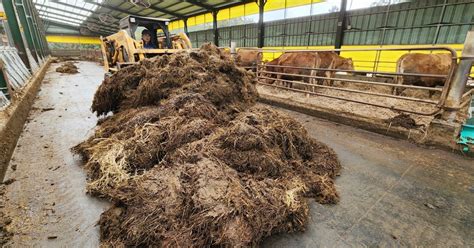 친환경축산농장을 가다 ⑧부숙퇴비로 목초생산 자급자족끝
