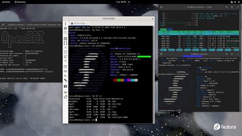 Risc V Emulation On Arm 64 Host Fedora On Rpi 400 Is On Kernel 6 5 0