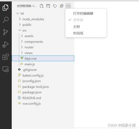 Vscode 运行vue项目 没有出现 Npm脚本vue3项目npm脚本的选项怎么没有了 Csdn博客