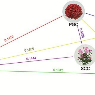 Pairwise F ST Values Between The Five Cultivated Types Based On