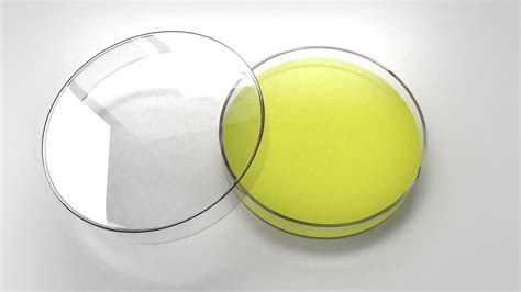 한천 2 유리 페트리 접시 3d 모델 7 Unknown Blend Dae Obj Free3d