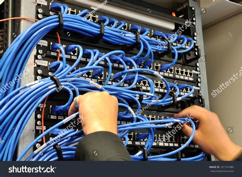 Man Connecting Network Cables To Switches Stock Photo Shutterstock