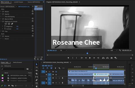 Problem Creating A Simple Ellipse Mask For Video E Adobe Community