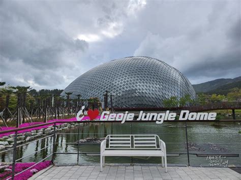 거제도 볼거리 놀거리 아이랑 가볼만한곳 비오는날 가볼만한곳 거제식물원 정글돔 정글타워 네이버 블로그