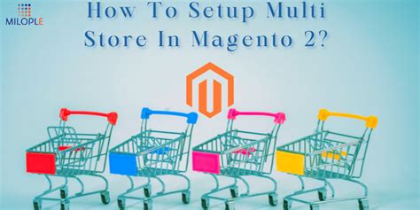 How To Setup Multi Store In Magento 2 Step By Step Tutorial