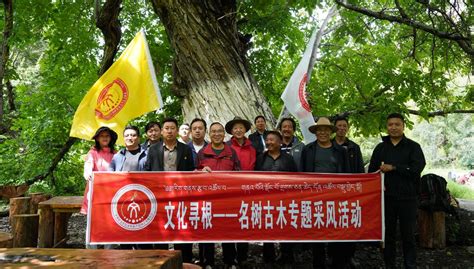 乡城县开展文化寻根名树古木专题采风活动 澎湃号政务 澎湃新闻 The Paper