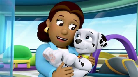 Щенячий патруль 1 сезон 4 серия Youtube