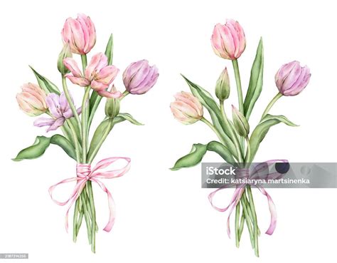 파스텔 핑크 라이트 바이올렛 옐로우 튤립의 꽃다발과 열린 새싹과 활 수채화 일러스트가 분리되어 있습니다 손으로 그린 정원 구성 다년생 구근 꽃 봄 결혼식 디자인 또는 카드