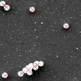 SEM Secondary Electron Image Of SiO NPs Download Scientific Diagram