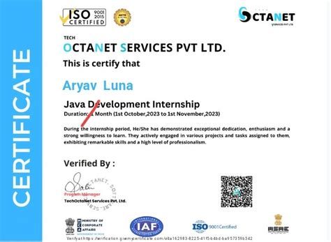 Aryav Luna On Linkedin Internship Octanetexperience Careerjourney