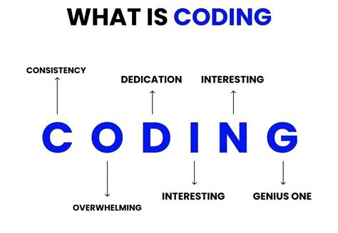 Code Programer Coding Raja Patel