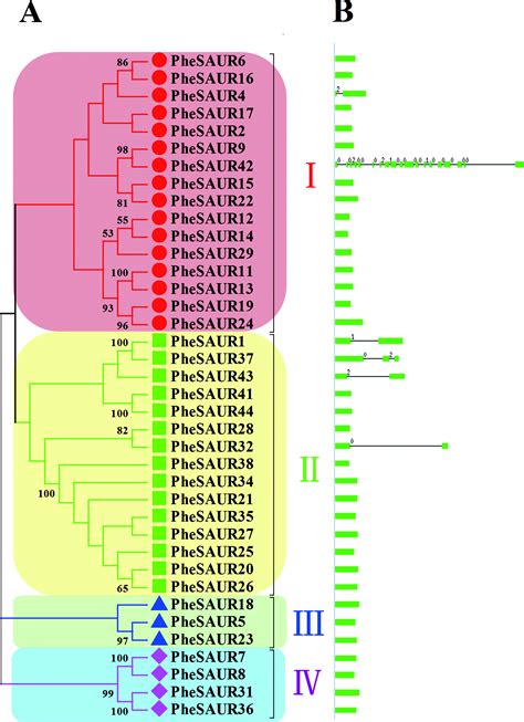 Sigmaplot 11 Mega Adamsbrick