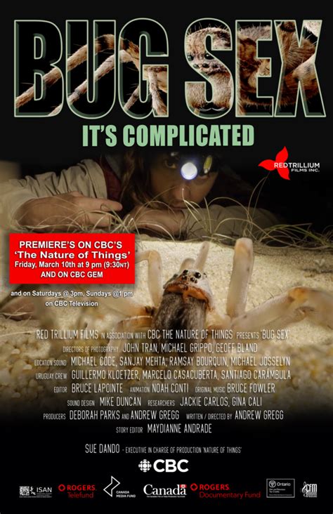 Bug Sex Its Complicated Review