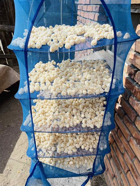 Увс БҮТЭЭГЧ УВСЧУУД №07 ️Т Дэлгэрмаа Улаангом сумын 10 р багийн иргэн Миний хувьд анх