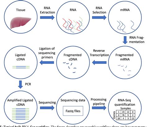 Figure 1 From Utilization Of Single Cell Rna Seq And Genome Scale