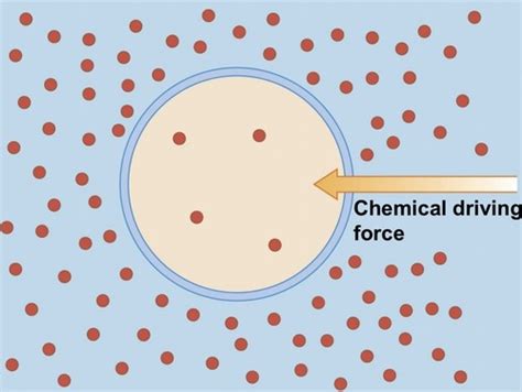 Concentration Gradient