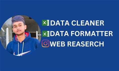 do excel data cleaning formatting and web research by sudhanshuexcel