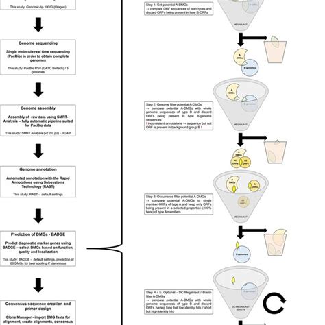 The Use Oriented Prediction Of Diagnostic Marker Genes Using Badge A