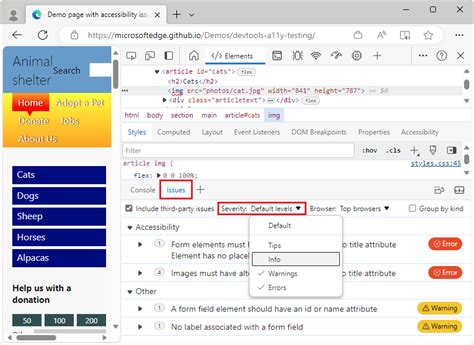 Find And Fix Problems Using The Issues Tool Microsoft Edge Developer Documentation Microsoft