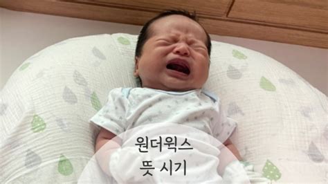 원더윅스 뜻 시기 증상 원더웍스 대처방법 네이버 블로그