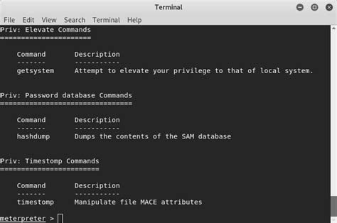 How To Use Meterpreter When Controlling A Trojan Live Linux Usb