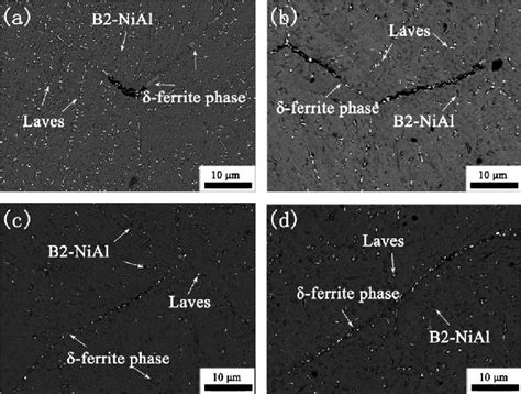 Microstructure Of Crack Tip Of The Steels After The Creep At 700°c A Download Scientific