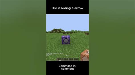 Minecraft Command Minecraft Javavsbedrockeditioninhindi